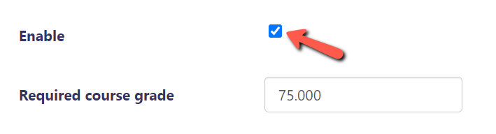 Course Completion – Lambda Learning Support
